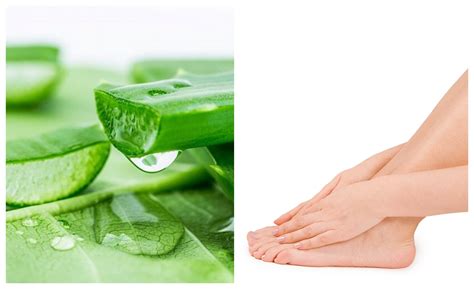 Cómo combatir los hongos en los pies con aloe vera Mejor con Salud