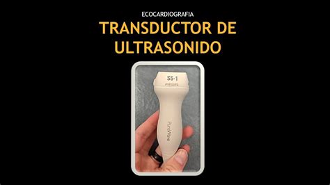 TRANSDUCTOR DE ULTRASONIDO Movimientos Ecocardiografia YouTube