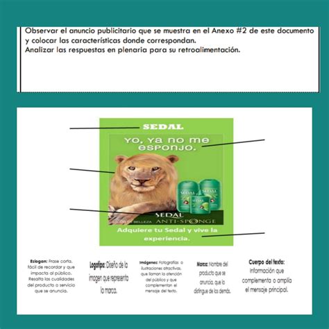 Álbumes 90 Foto Partes De Un Anuncio Publicitario Para Niños De