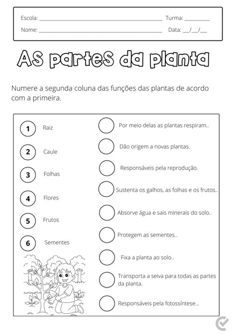 Atividades De Ci Ncias Para E Ano