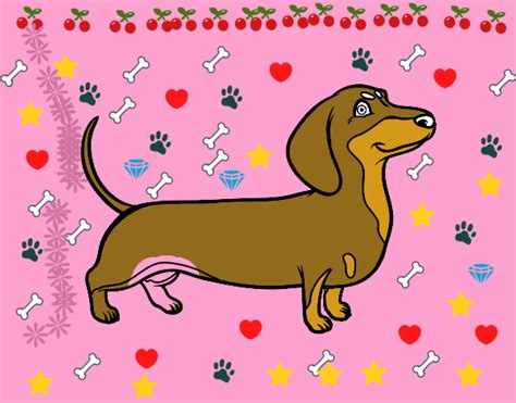 Dibujo De Perro Salchicha Pintado Por En Dibujos Net El D A A