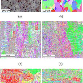 Ebsd A Image Quality Map B Inverse Pole Figure Ipf Map Of The