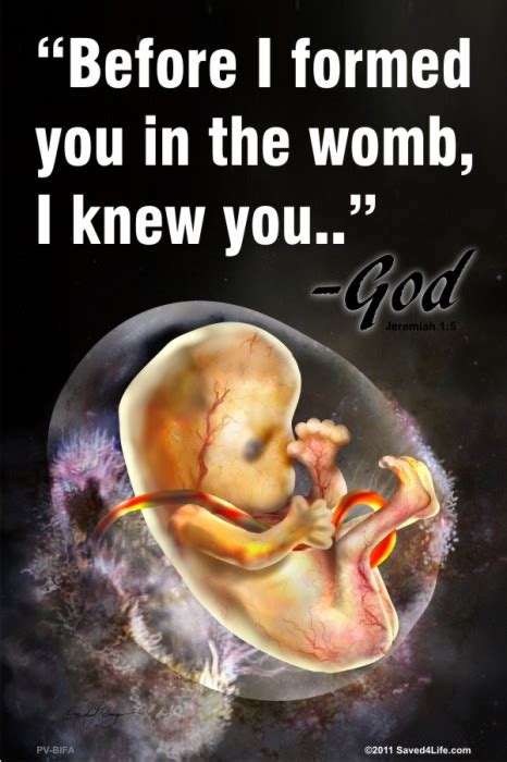 Before I Formed You In The Womb I Knew You Full Color Vinyl Sign PV