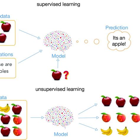 supervised learning and unsupervised learning supervised learning uses download scientific