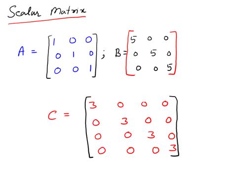 types of matrices examples of matrices types for the beginner