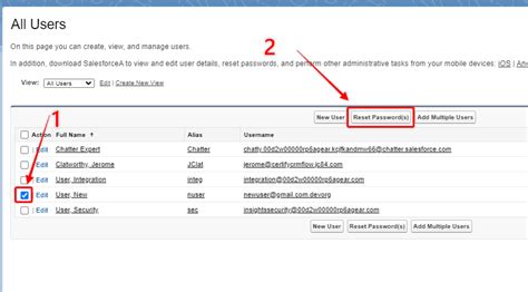 How To Reset A Salesforce User S Password Screenshots