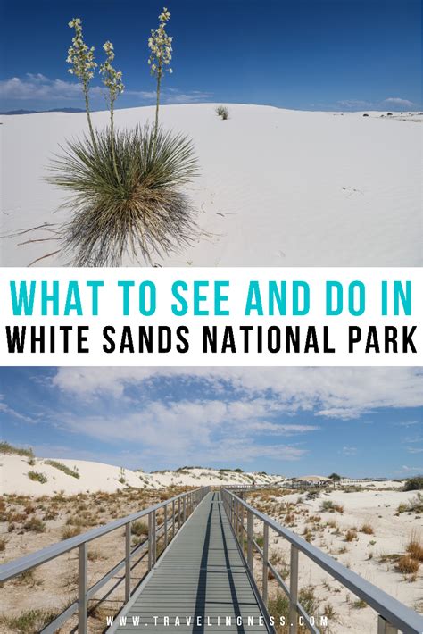View Of The White Sand Dunes With A Small Plant And The Metal Boardwalk