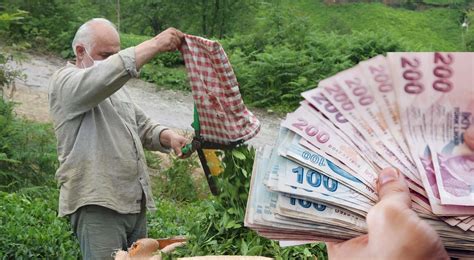 Emekli çiftçilere 5 bin TL ikramiyede son durum