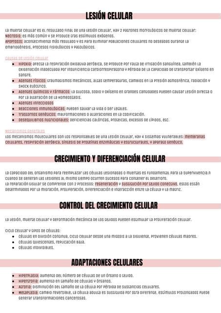 Lesión Celular Yane Davila uDocz