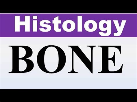 Chp7 Histology Inder Bir Singh BONE Histology Dr Asif Lectures