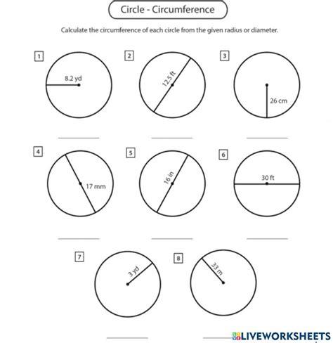 Circumference And Area Of A Circle Worksheet Math Monks Worksheets