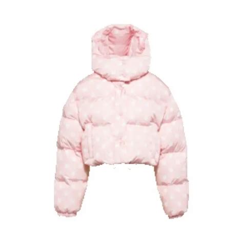 Miu Miu Ml Zhi F V C