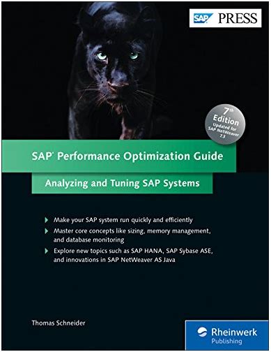 Sap Press Sap Performance Optimization Guide Th