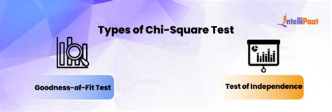 What Is Chi Square Test Formula Types And Examples Intellipaat