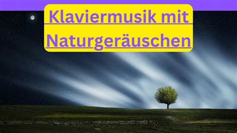 Wundersch Ne Beruhigende Klavier Piano Musik Mit Naturger Uschen Zum