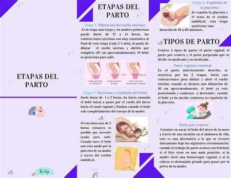 Res Menes De Tipos De Parto Descarga Apuntes De Tipos De Parto