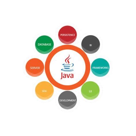 Java Application Development Services In Noida Capixa Tech ID