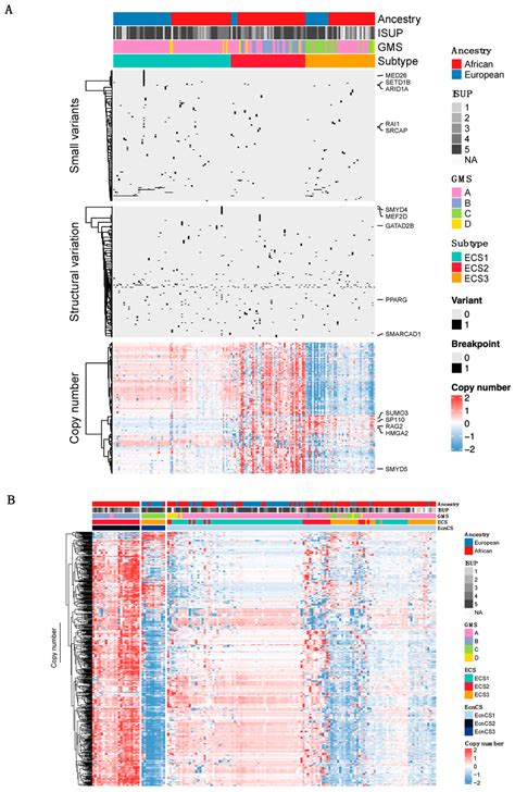 a consensus clustering heatmap based on 10 multi omics integrative download scientific