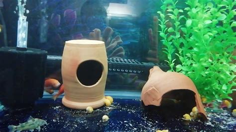 300 Litre Akvaryum Kurulum Bitti YouTube