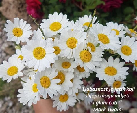 13 Studenog Svjetski Dan Dobrote I Ljubaznosti Framost