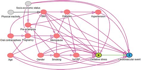 Directed Acyclic Graph Dag Demonstrating The Causal Paths
