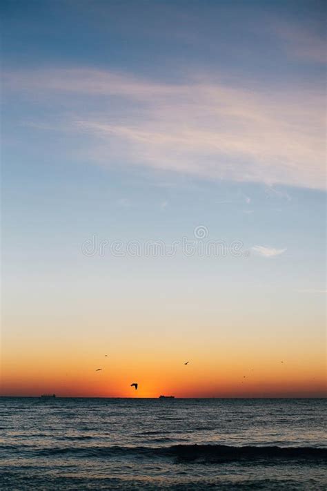 Beautiful Sun Rise And Seagulls Flying In Red Sky Above Sea Waves On