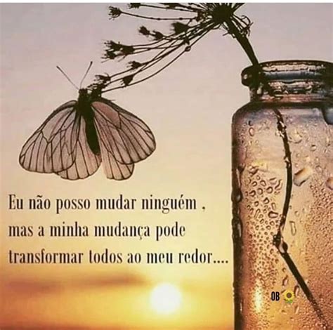 O Pioneiro Pioneirooficial Posted On Instagram