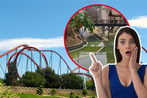 Aluvión de críticas a PortAventura por una de sus atracciones Me pica