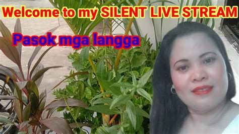 Magandang Gabi Tuloy Po Kayo Sa Aking Silent Live Stream Mga Langga