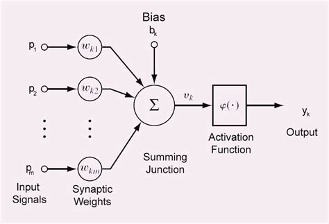 nonlinear model of a neuron with labeled k download scientific diagram