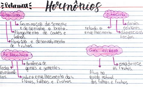 Hormônios Botânica Biologia