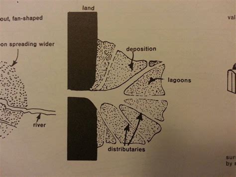 Deltas And Distributaries