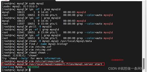 vscode调试mysql5 7 37教程 mysql 源码调试 vscode csdn博客
