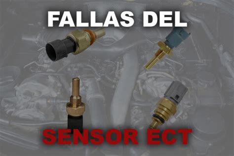 Fallas Del Sensor MAF Todas Las Fallas Y Sus Soluciones