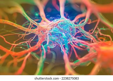 Neurons Brain Cells Neural Network Scientific Stock Illustration