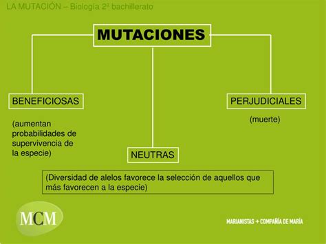 PPT LA MUTACIÓN PowerPoint Presentation free download ID 867516