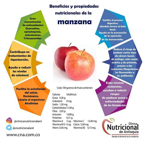 Beneficios y propiedades nutricionales de la manzana Infografía