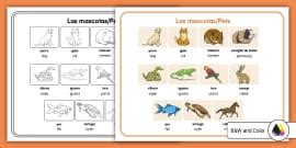 Weather Word Mat In Spanish English Teacher Made Twinkl