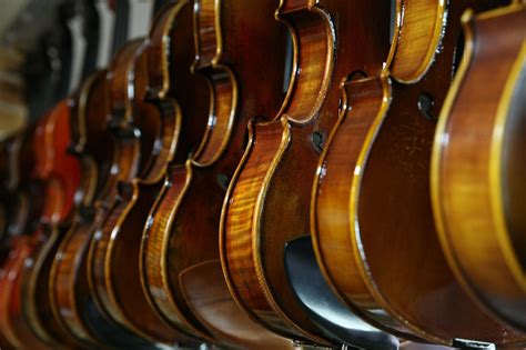 Violin Facts Everything You Need To Know About The Violin