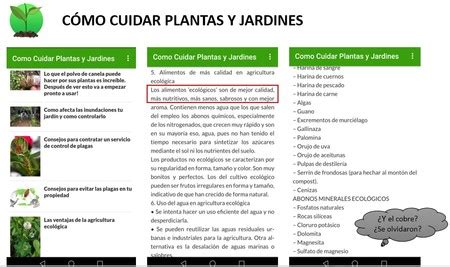 que hacer para cuidar las plantas Cómo cuidar las Guía 2022