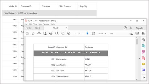 Export To Pdf In Maui Datagrid Control Syncfusion