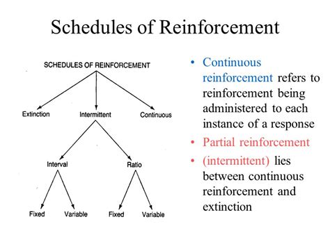 Schedules Of Reinforcement What They Are And How They Work 55 OFF