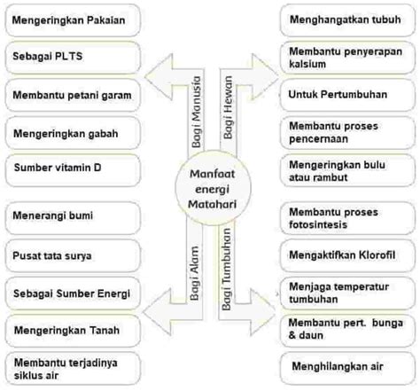 Apa Manfaat Energi Matahari Bagi Tumbuhan Homecare24