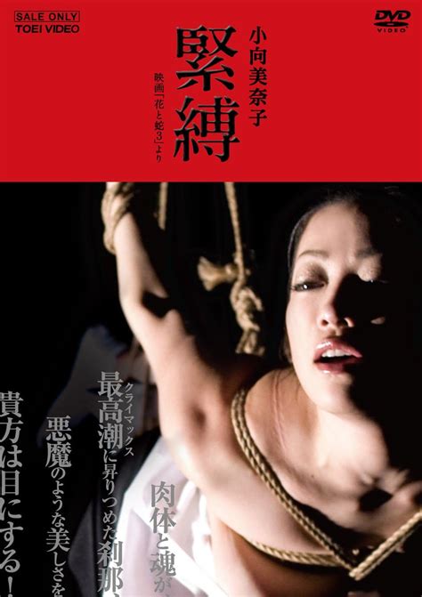 小向美奈子 緊縛映画花と蛇3より DVD Amazon mx Películas y Series de TV