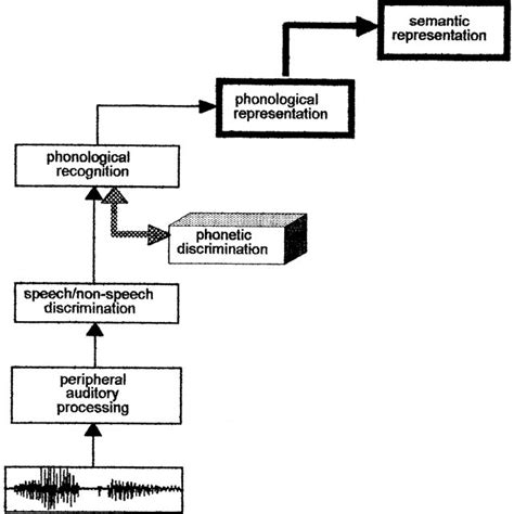 stackhouse and wells s 1997 speech processing model speech input download scientific diagram