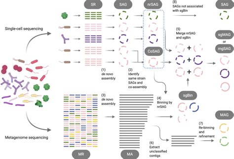 Overview Of The Single Cell Genomics And Metagenomics Integration