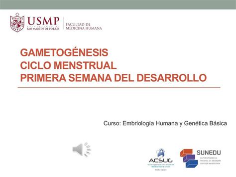 Gametogénesis ciclo menstrual primera semana del desarrollo