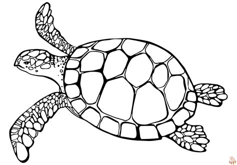 Coloriage Animaux Marins Imprimez Et Coloriez