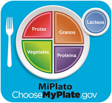 Mi Plato Nutrición Mantenerse Saludable HoG Handbook Hemophilia