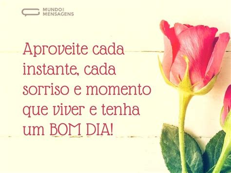 Aproveite Este Dia Especial Mundo Das Mensagens